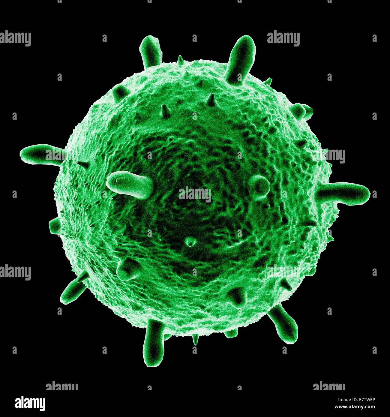 Influenza, computer artwork Stock Photo - Alamy Influenza, computer artwork Stock Photo - Alamy