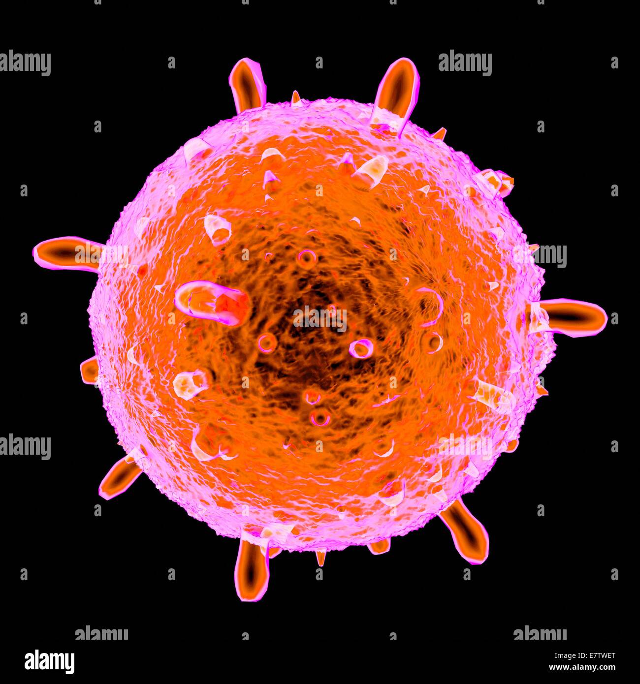 Influenza, computer artwork Stock Photo - Alamy Influenza, computer artwork Stock Photo - Alamy