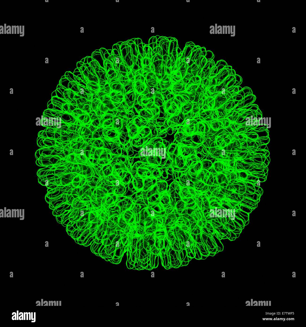 Rotavirus 3d model hi-res stock photography and images - Alamy