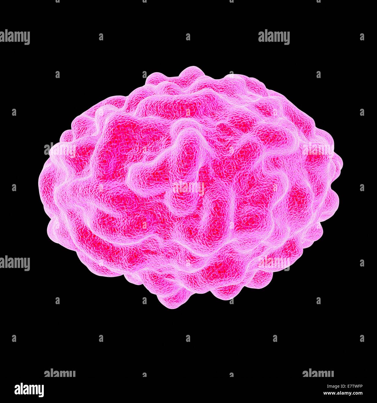 Smallpox virus particle hi-res stock photography and images - Alamy