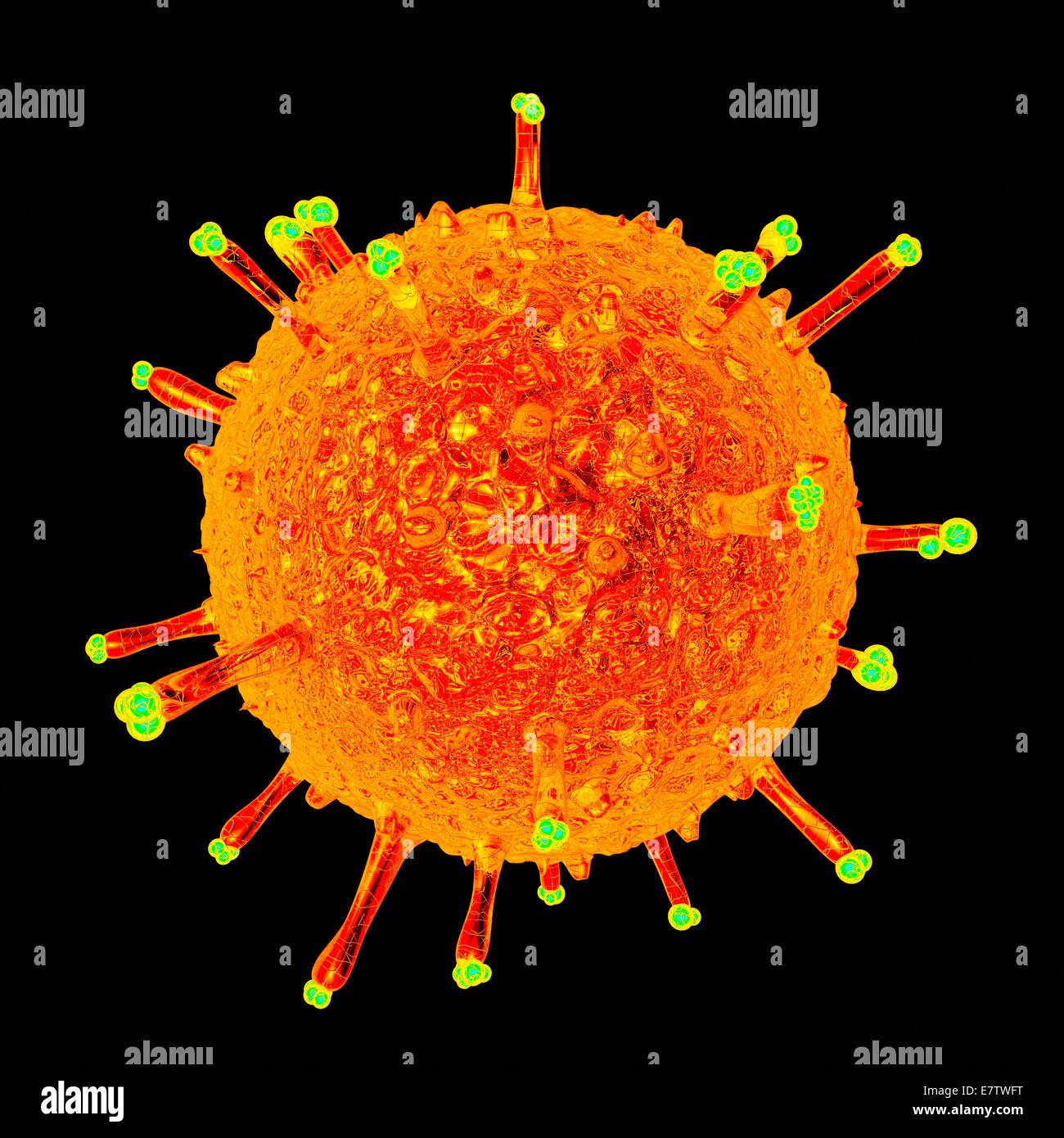 Swine flu virus particle hi-res stock photography and images - Alamy