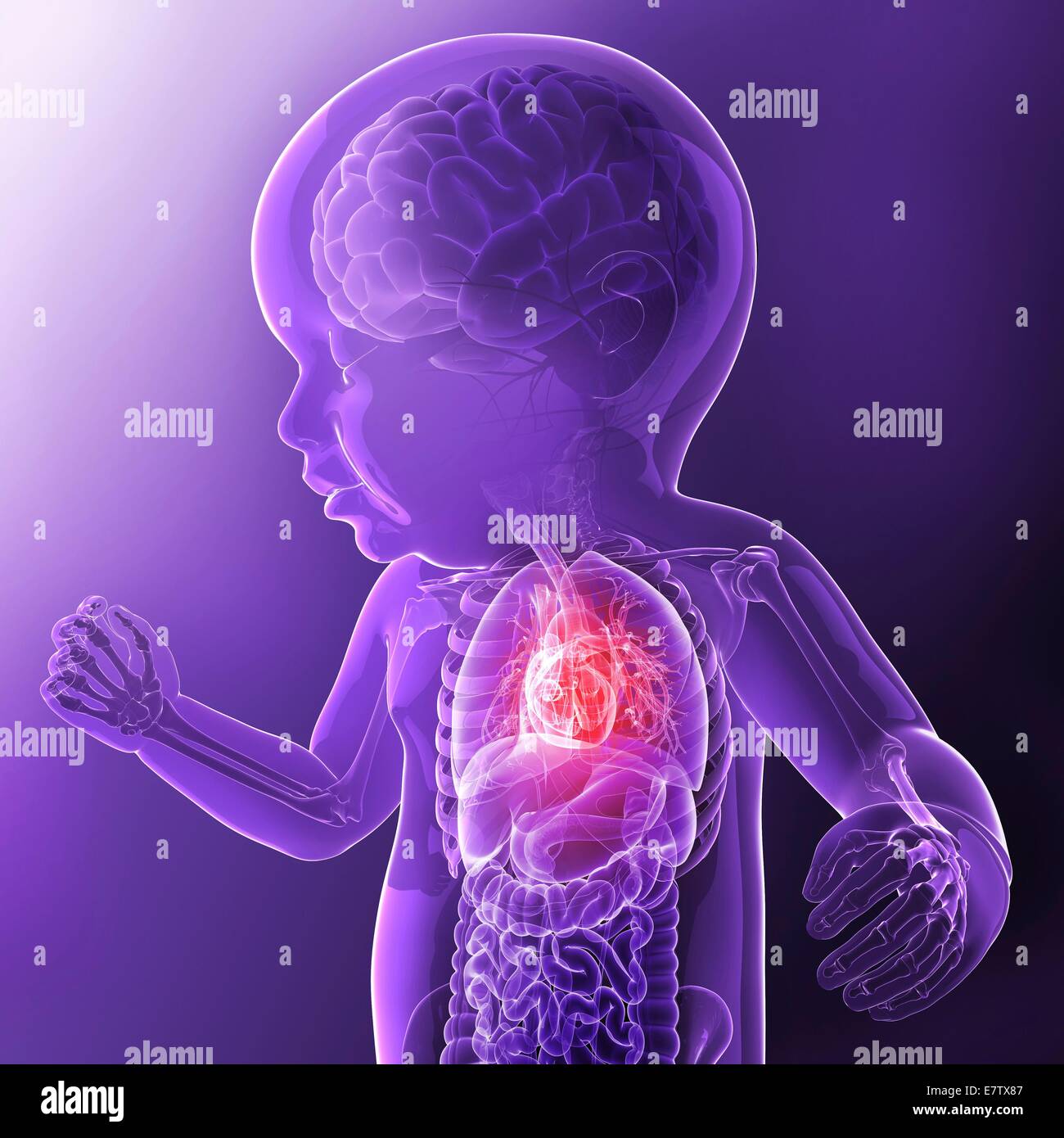 Babys heart hi-res stock photography and images - Alamy