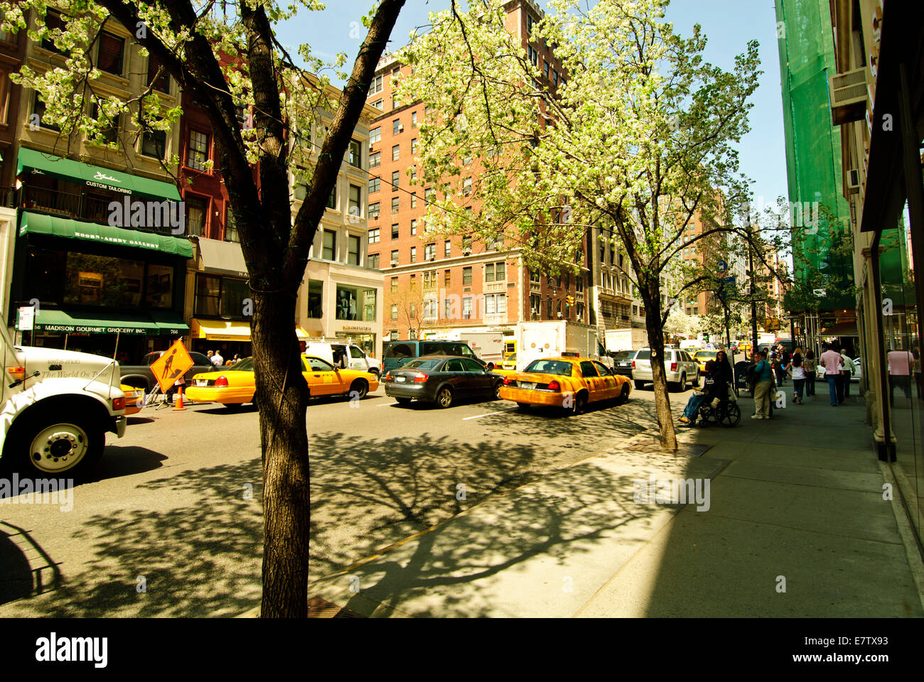 Views of New York City,Icons,Street Life,Parks,Buildings,Areas ...