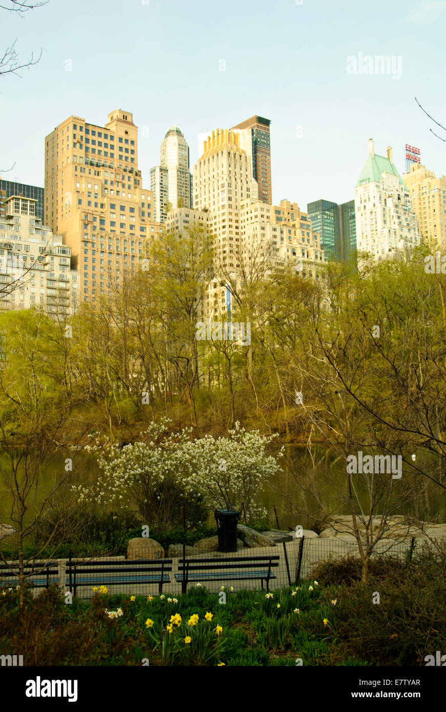 Views of New York City,Icons,Street Life,Parks,Buildings,Areas ...
