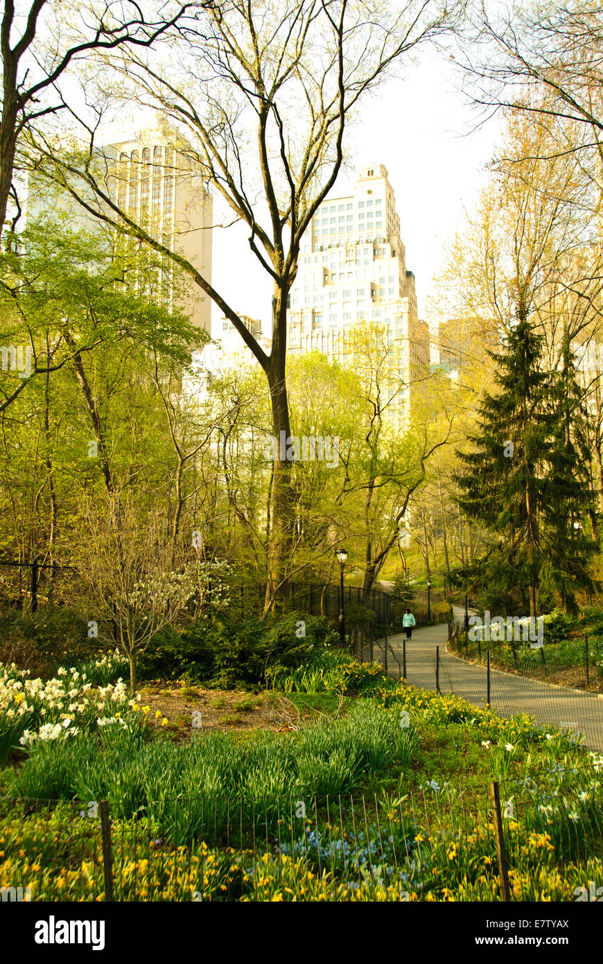 Views of New York City,Icons,Street Life,Parks,Buildings,Areas ...