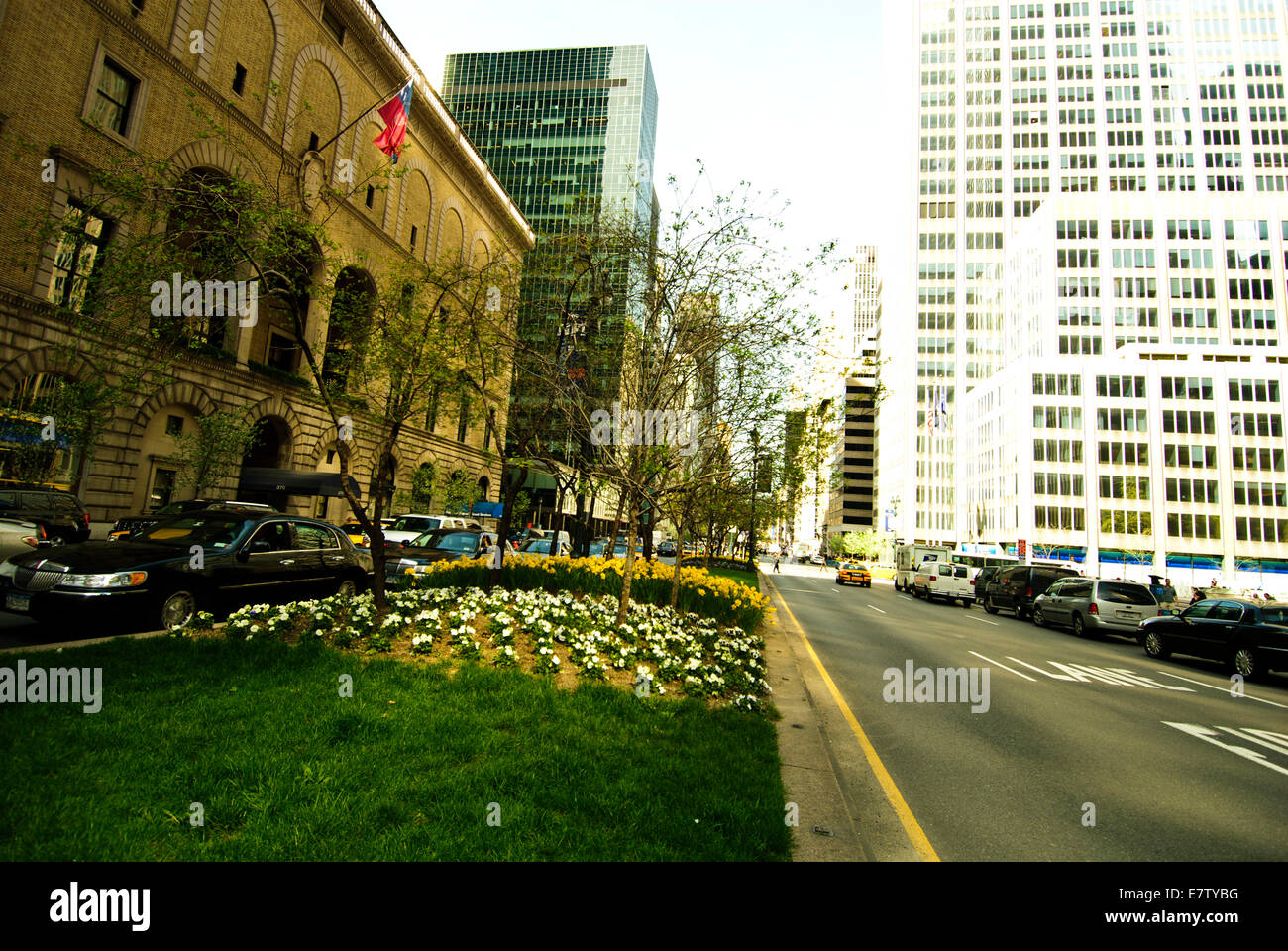 Views of New York City,Icons,Street Life,Parks,Buildings,Areas ...