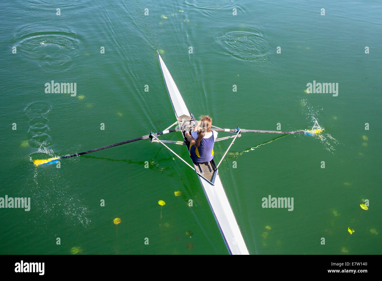 The woman rower in a boat, rowing on the tranquil lake Stock Photo - Alamy