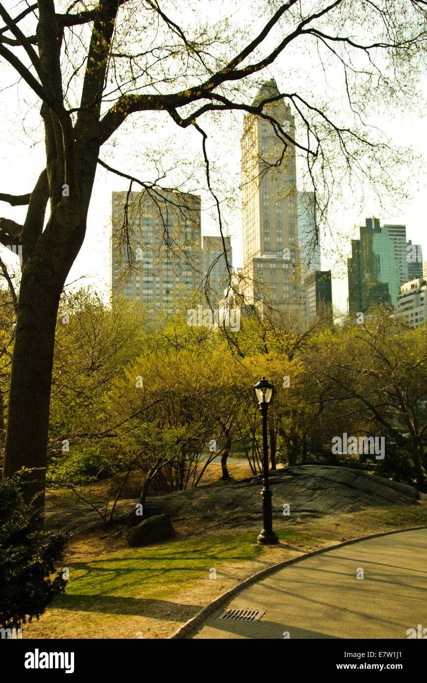 Views of New York City,Icons,Street Life,Parks,Buildings,Areas ...