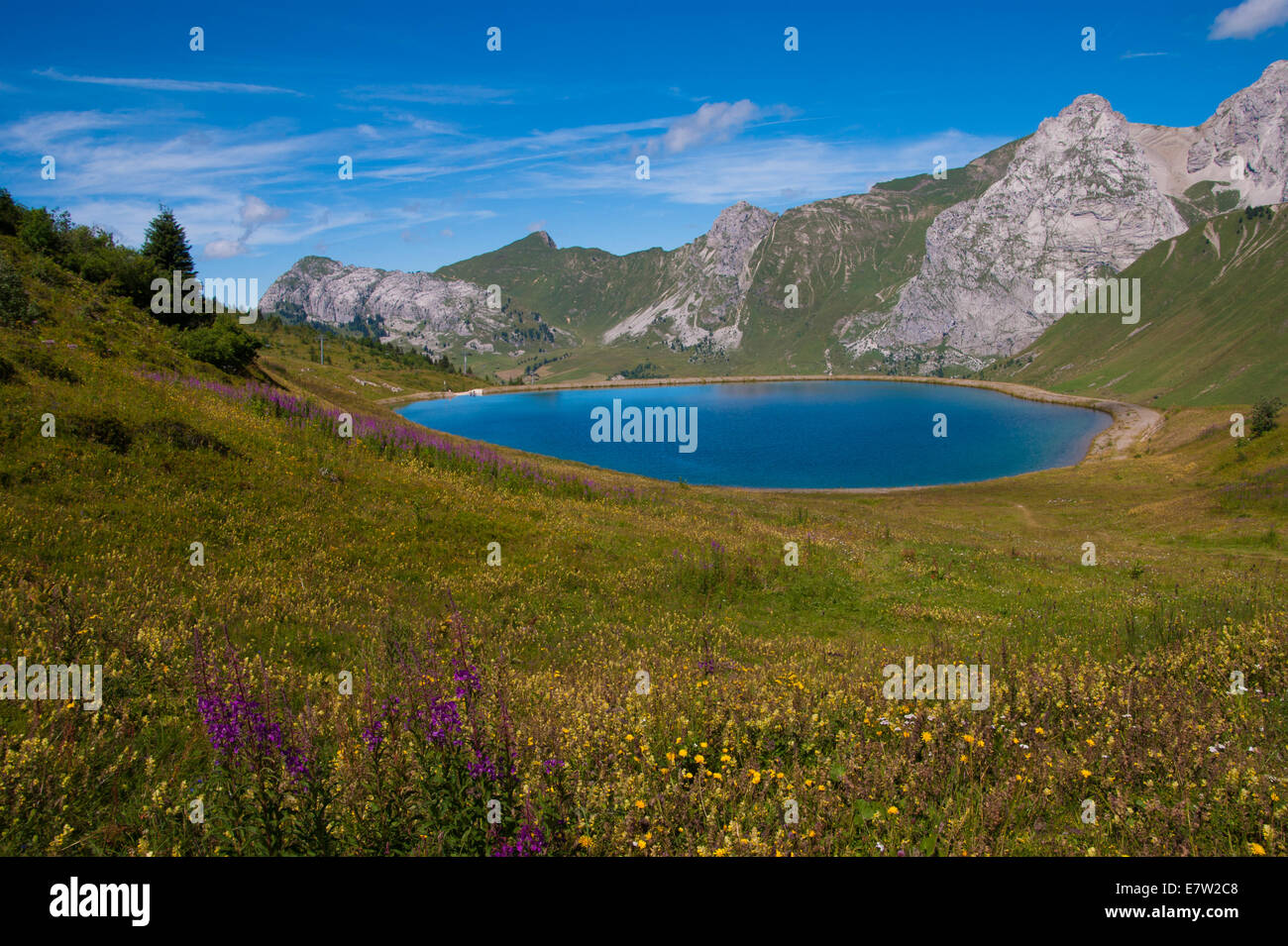 Maroli hi-res stock photography and images - Alamy
