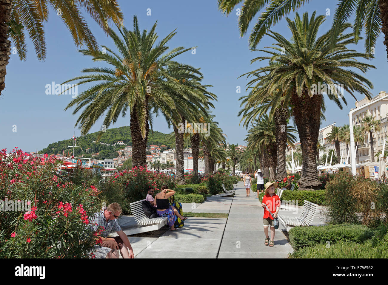 seafront, Split, Dalmatia, Croatia Stock Photo - Alamy