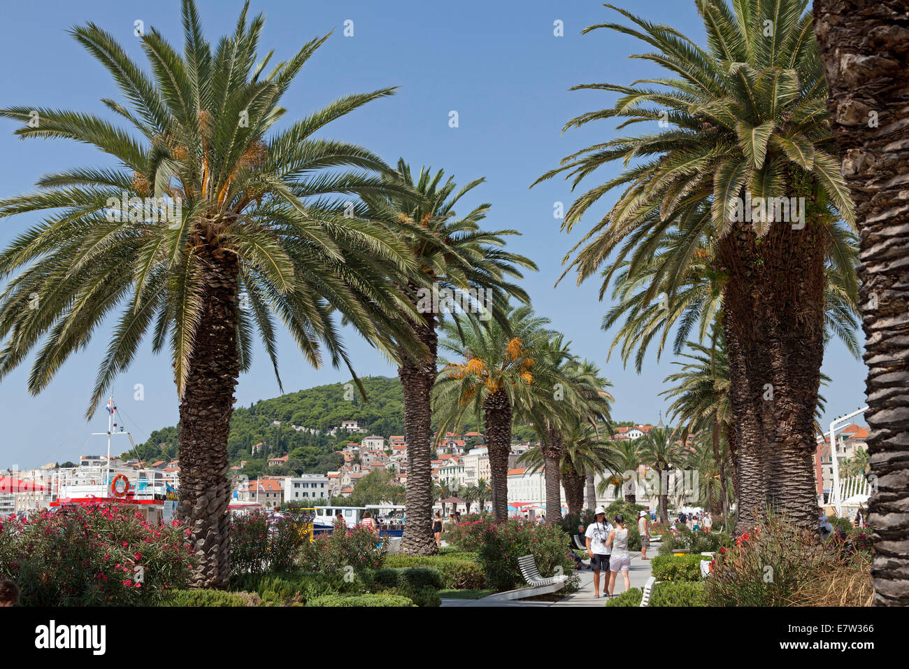 seafront, Split, Dalmatia, Croatia Stock Photo - Alamy