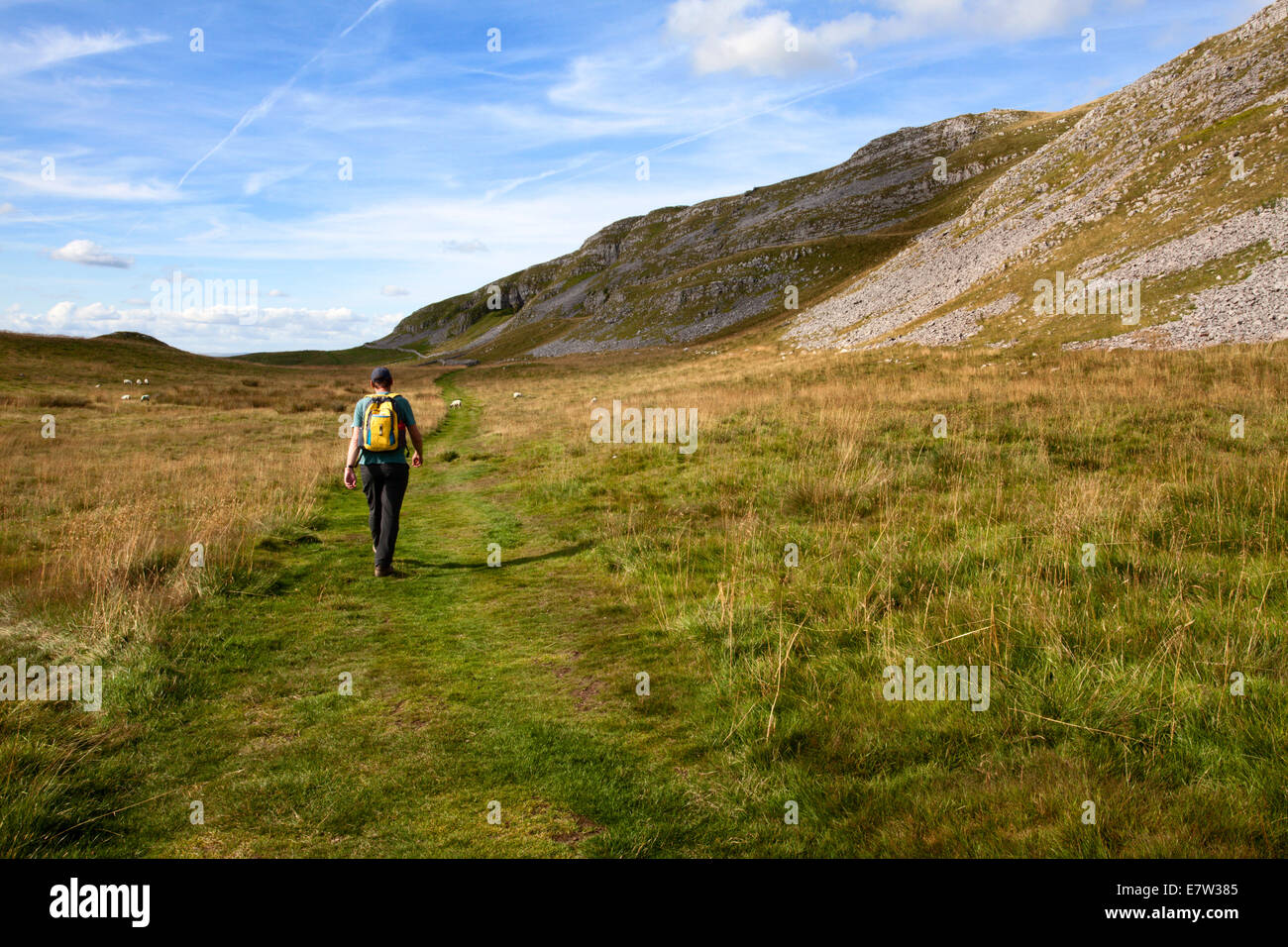 Walker on a Public Footpath below Attermire Scar Ribblesdale Yorkshire ...