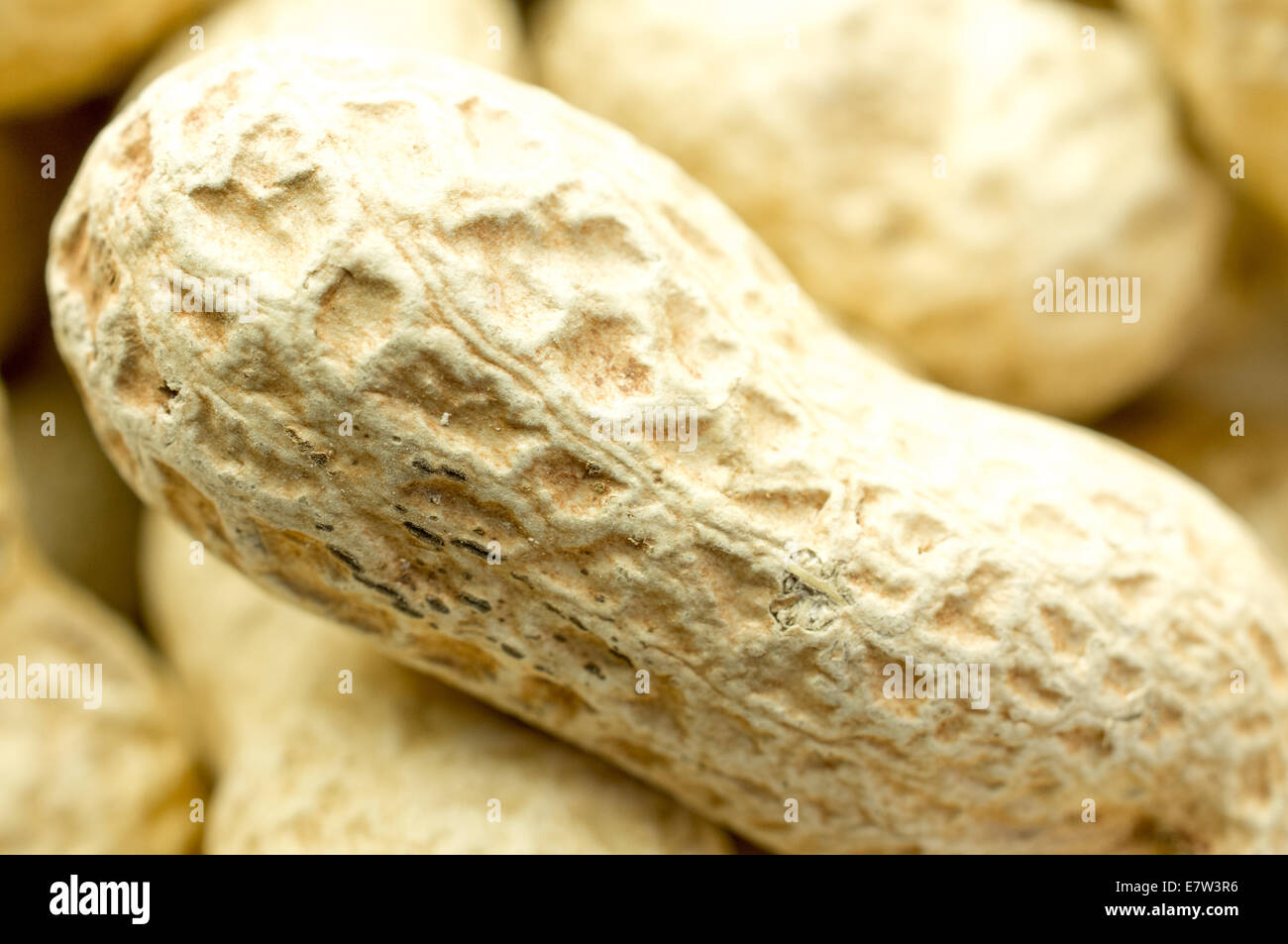 Raw peanuts crude closeup Stock Photo - Alamy