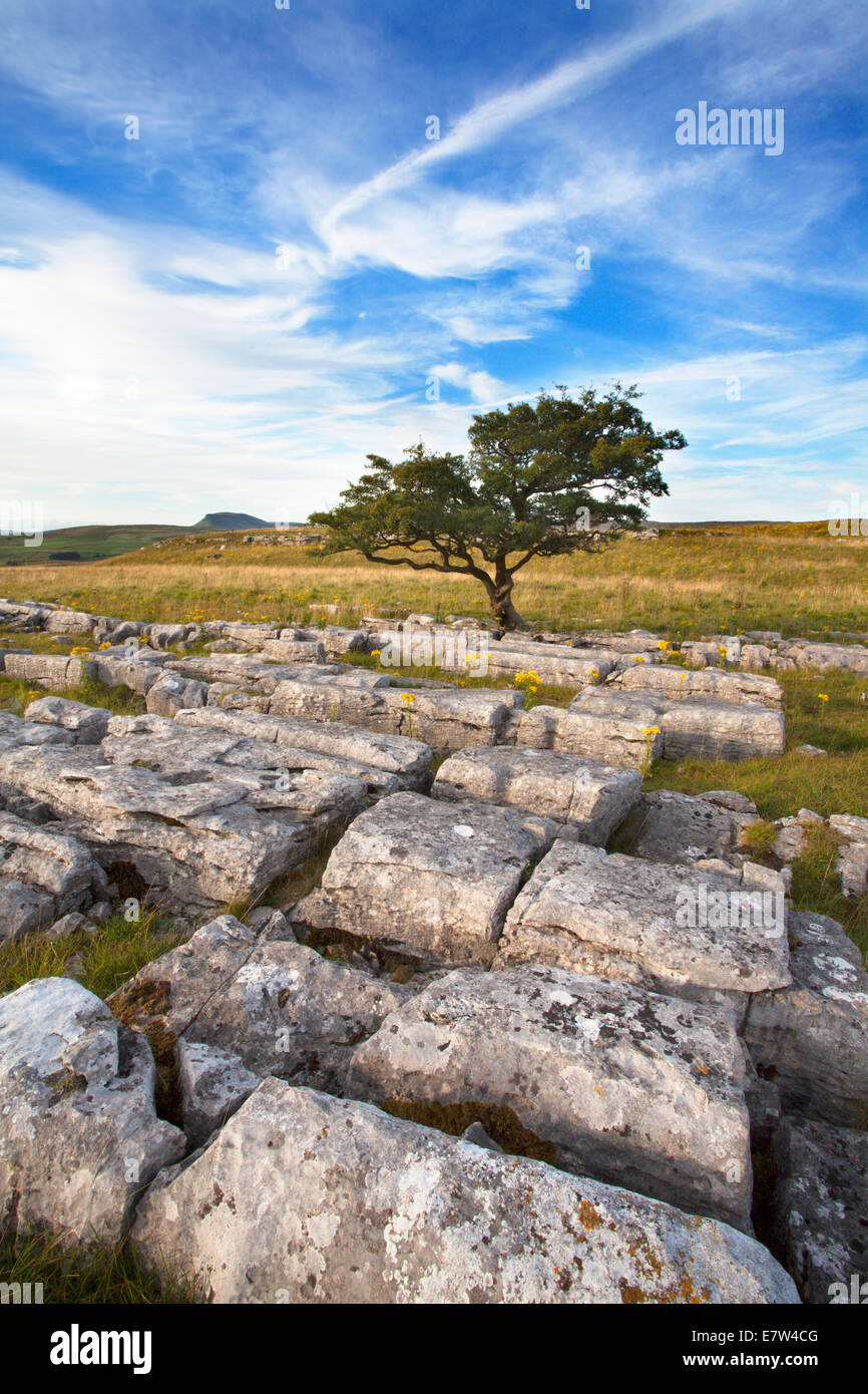 Rock pen y ghent three peaks hi-res stock photography and images - Alamy