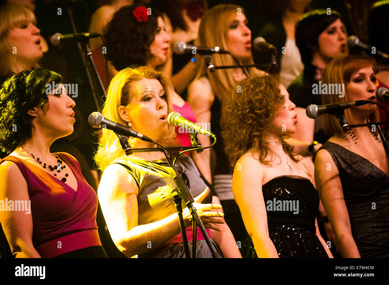 Perpetuum Jazzile, Slovenian a cappella musical group, performing at sold out concert in Dvorana ...