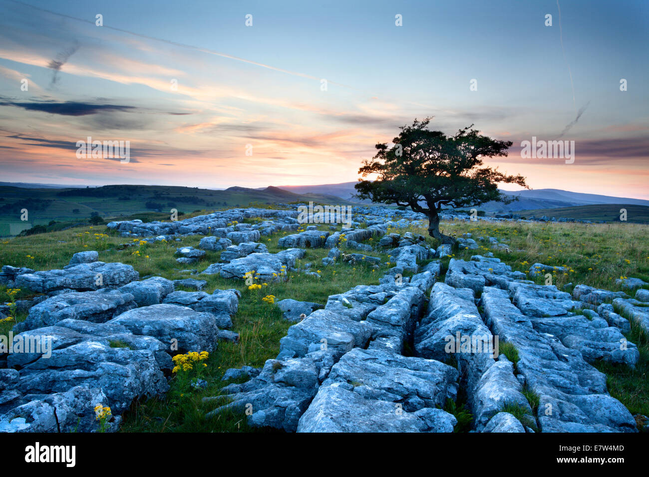 Yorkshire dales lone tree hi-res stock photography and images - Alamy