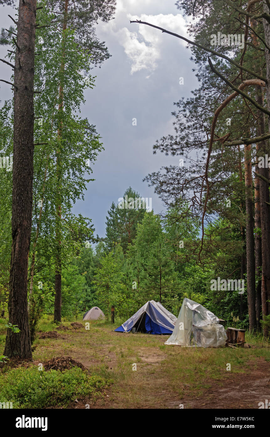 Tourist camp in forest Stock Photo - Alamy