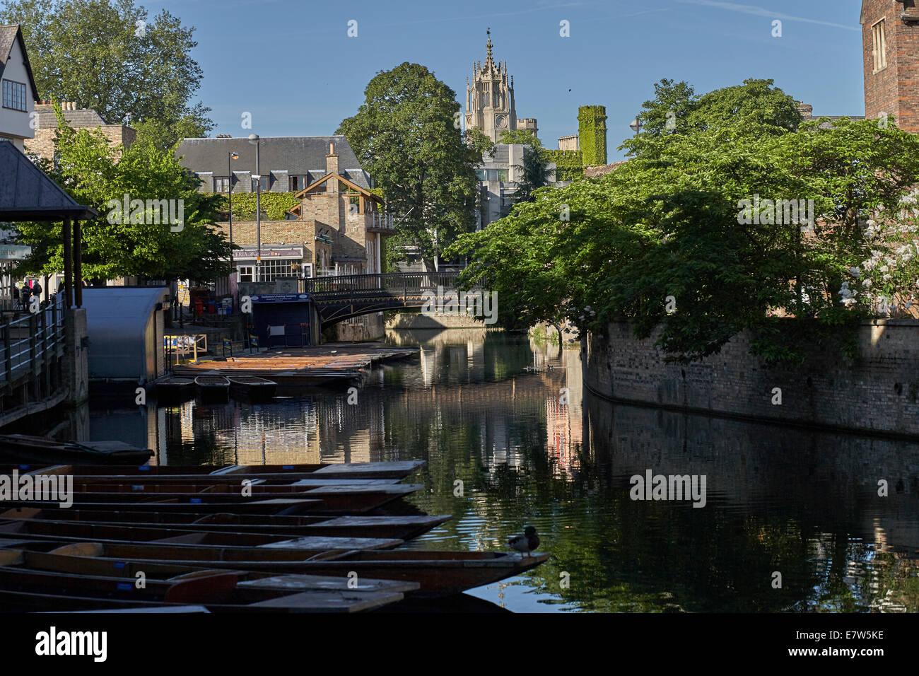Punts on River Cam, Cambridge Stock Photo - Alamy