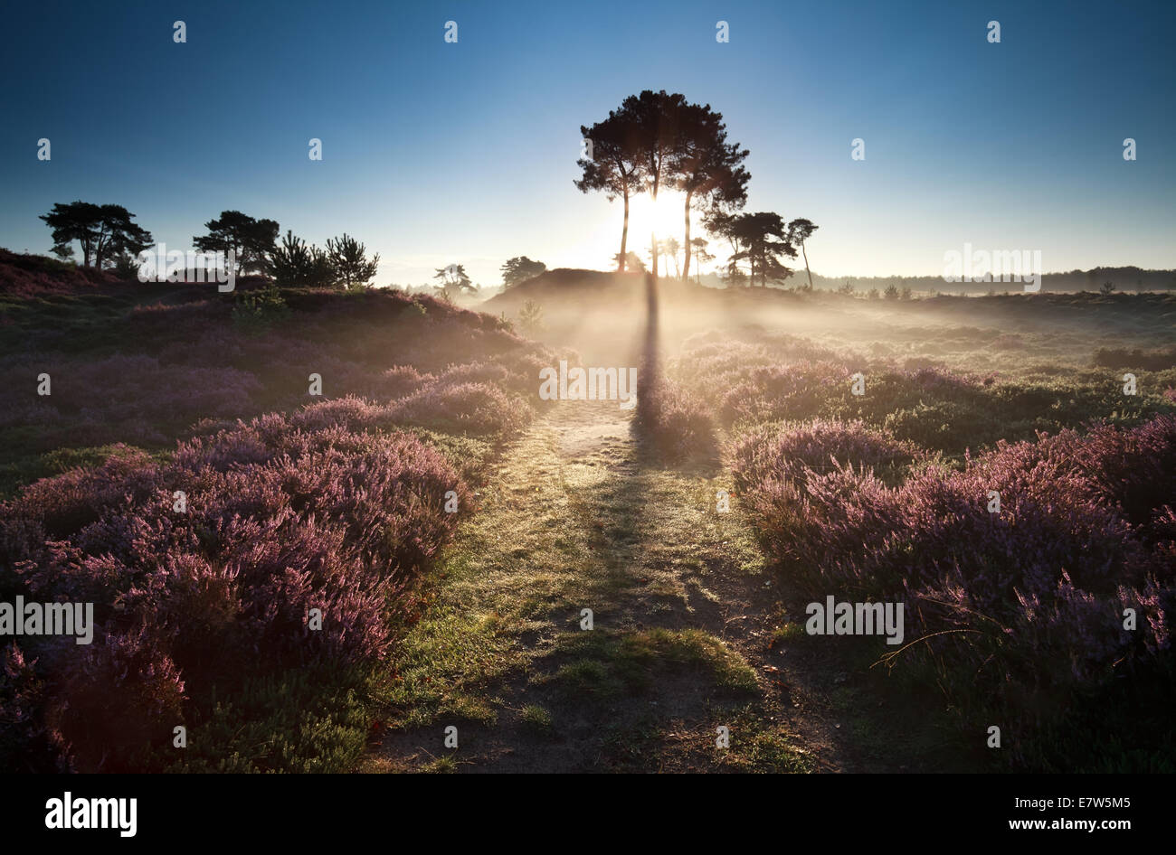 Path sunrise nobody hi-res stock photography and images - Alamy