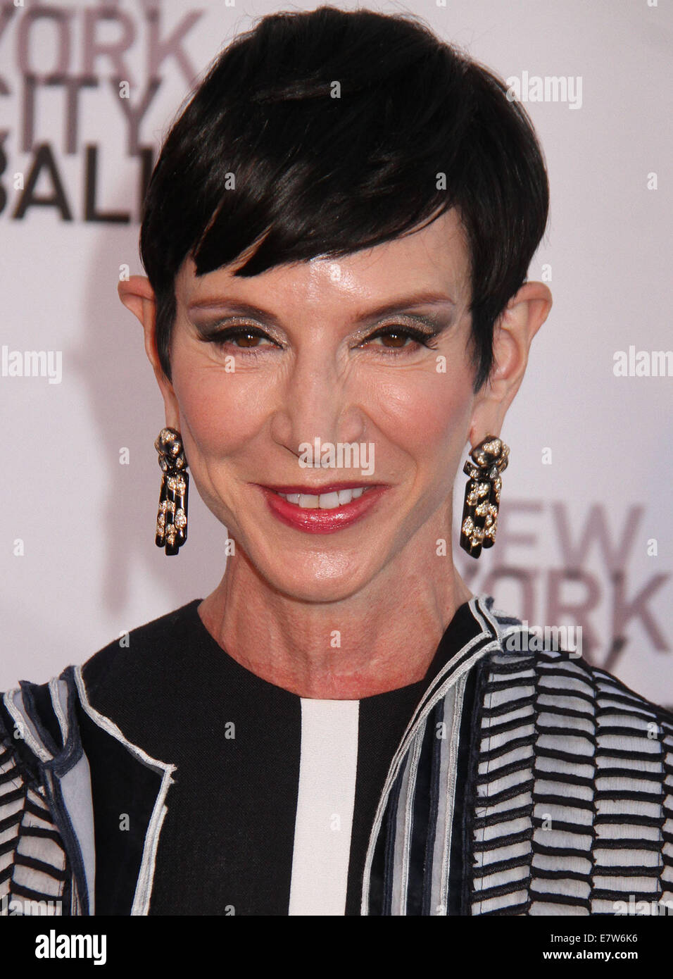 New York, New York, USA. 23rd Sep, 2014. AMY FINE COLLINS attends the ...