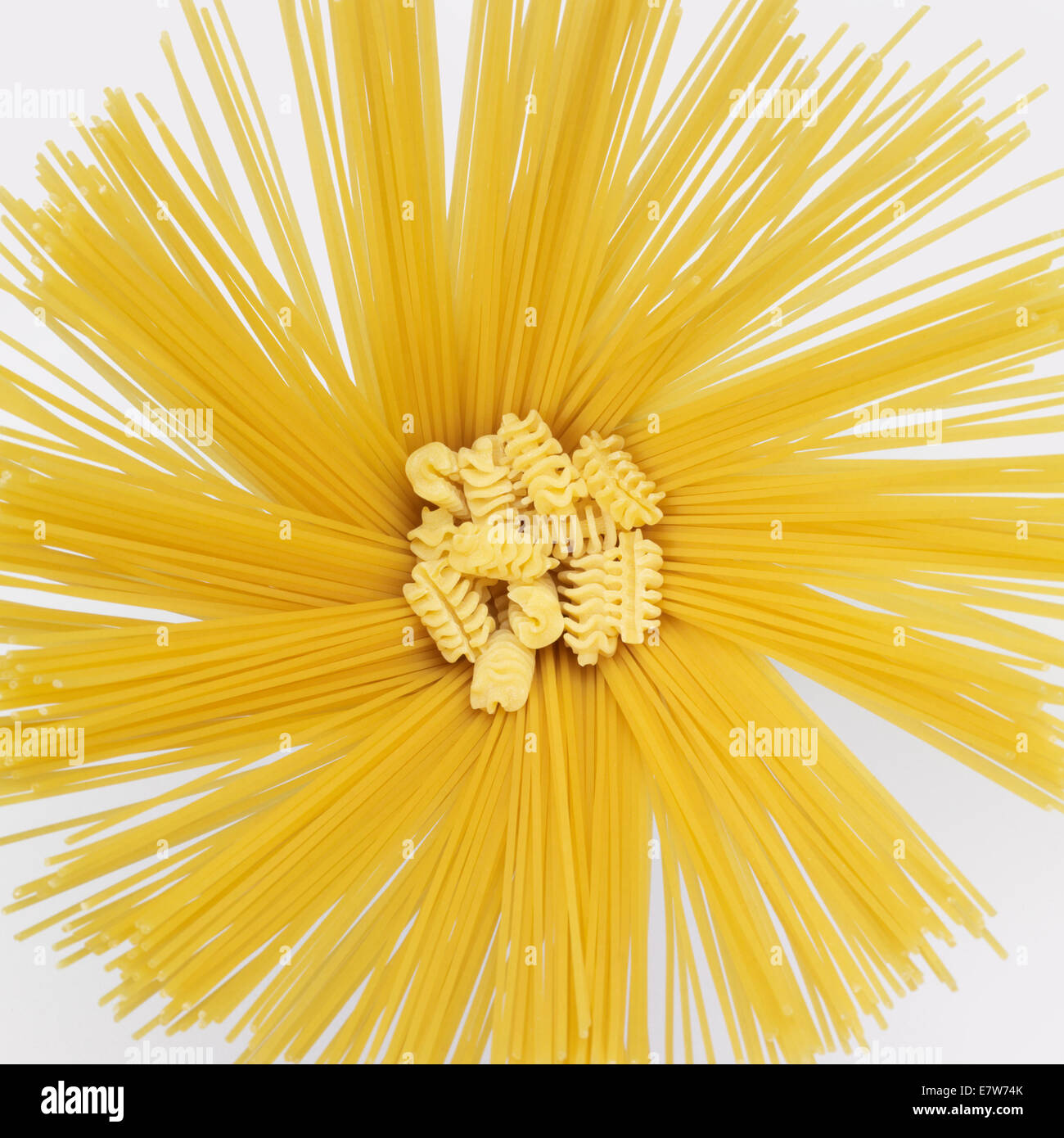 lots of radiant spaghetti and some radiatori noodles in light grey back ...