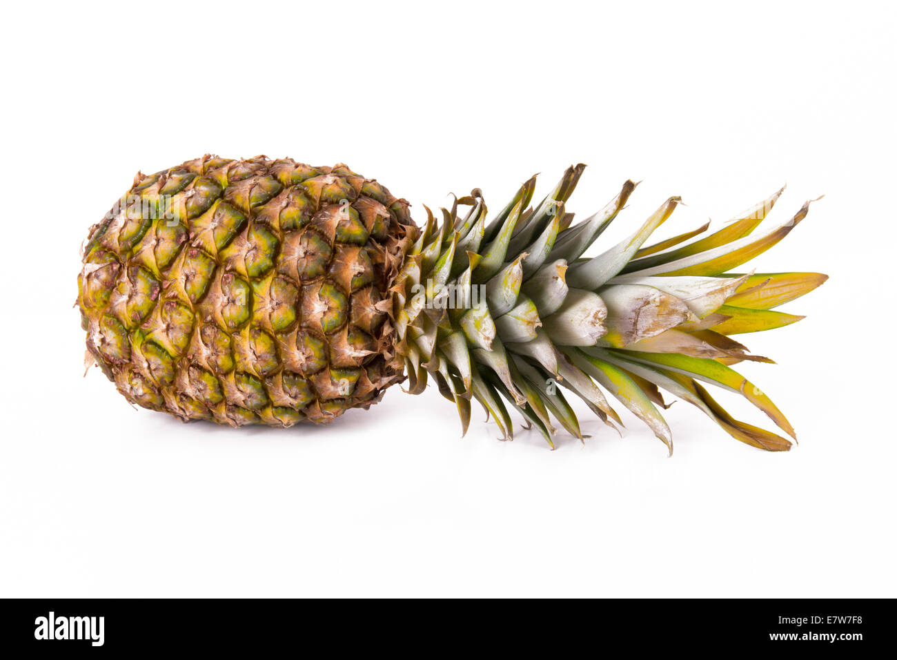 Green pineapple, ananas, isolated on white background Stock Photo - Alamy
