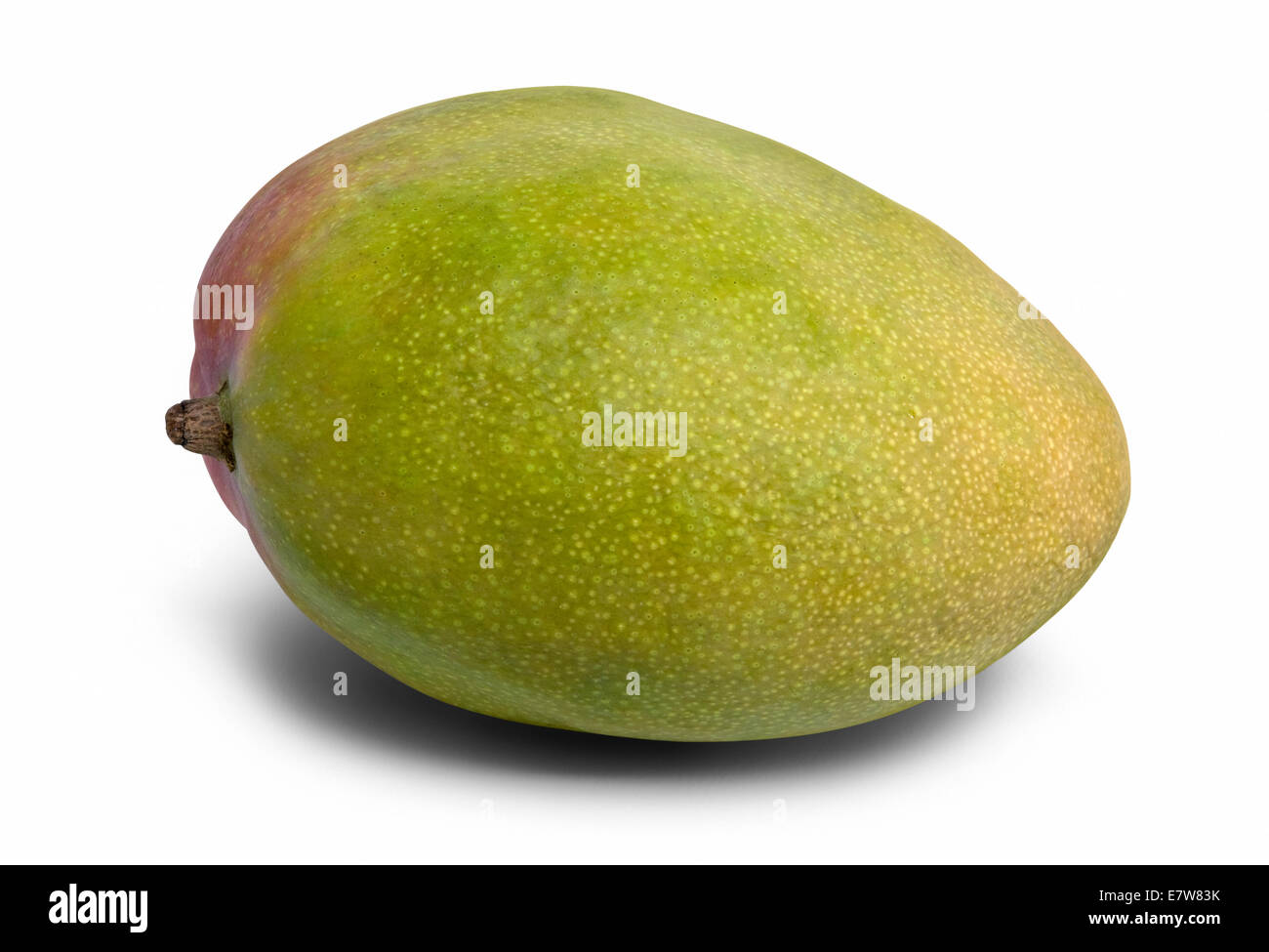 mango fruit in white back with shadow and clipping path Stock Photo - Alamy