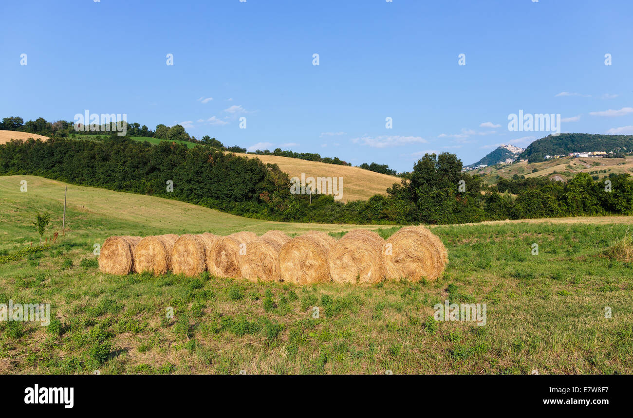 Typical Italian countryside landscape in Tuscany Stock Photo - Alamy