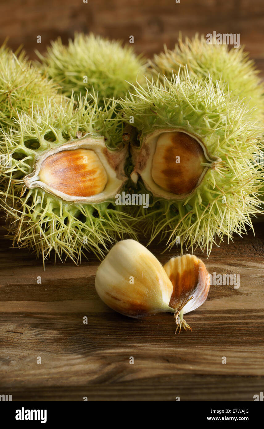 Shelled chestnuts hi-res stock photography and images - Alamy