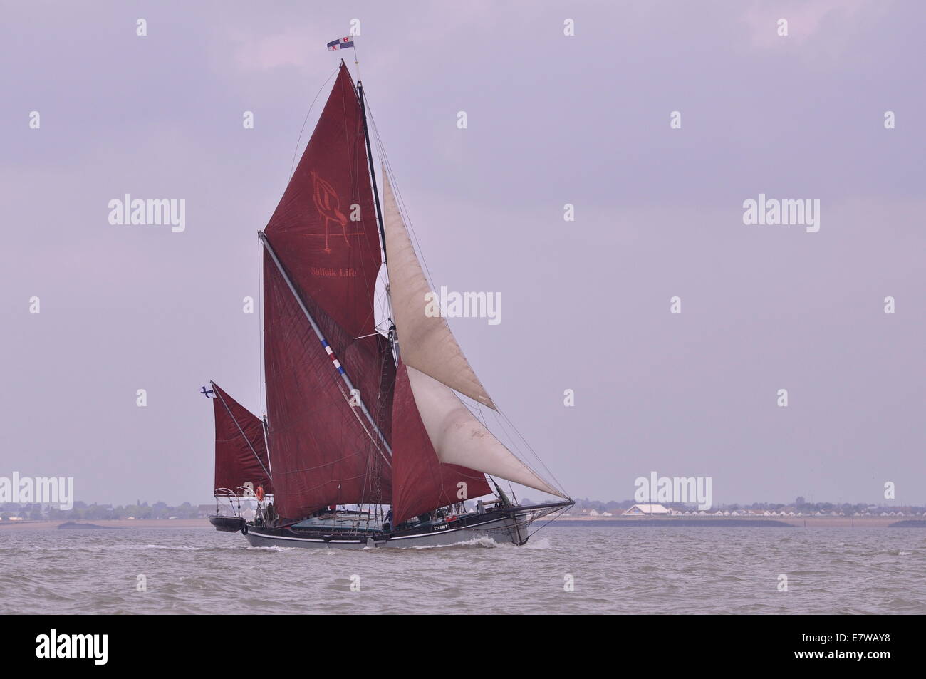 Thames sailing barge Xylonite competing in the Colne Barge Match sailed ...