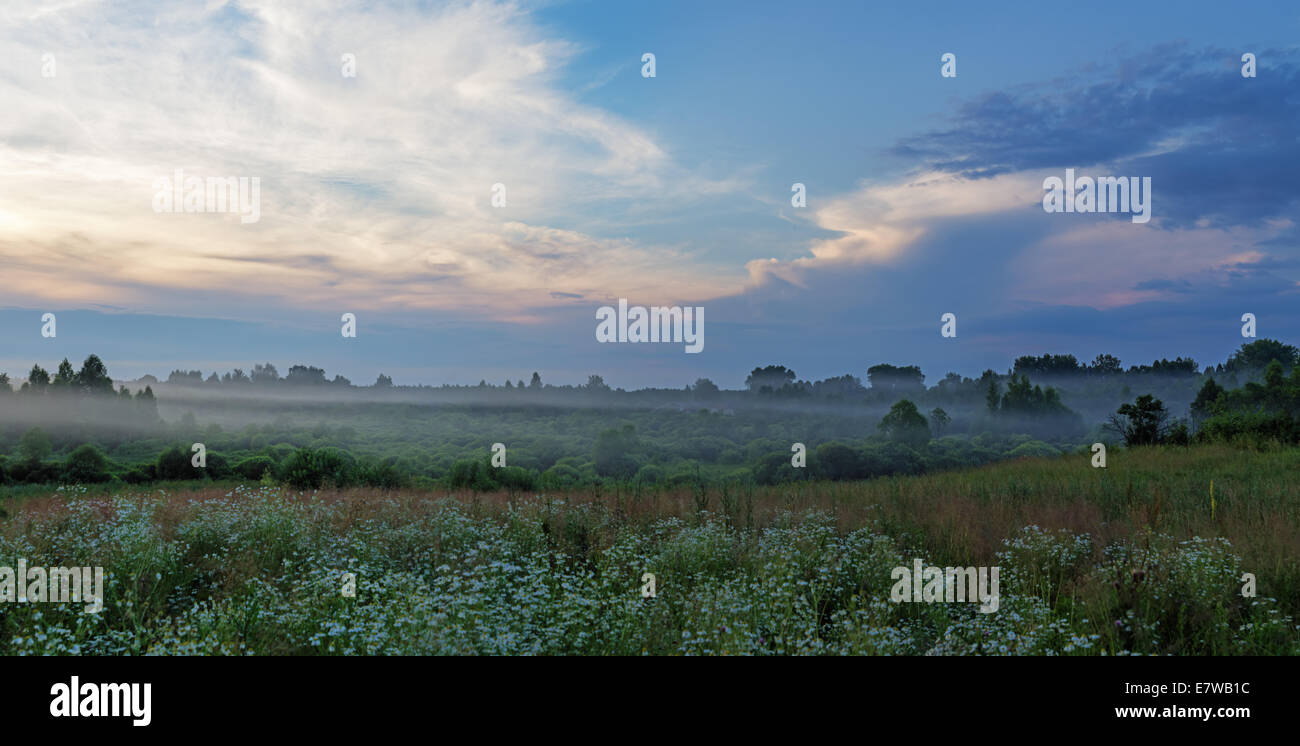 Sunset fog over field and forest Stock Photo - Alamy