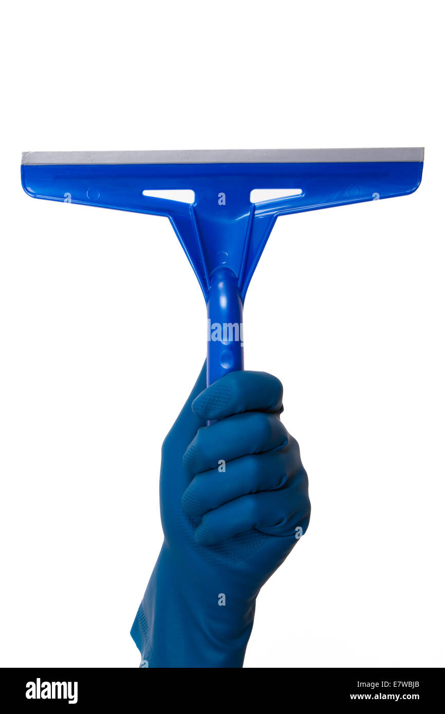 Hand in glove holding blue squeegee, isolated on white background Stock ...