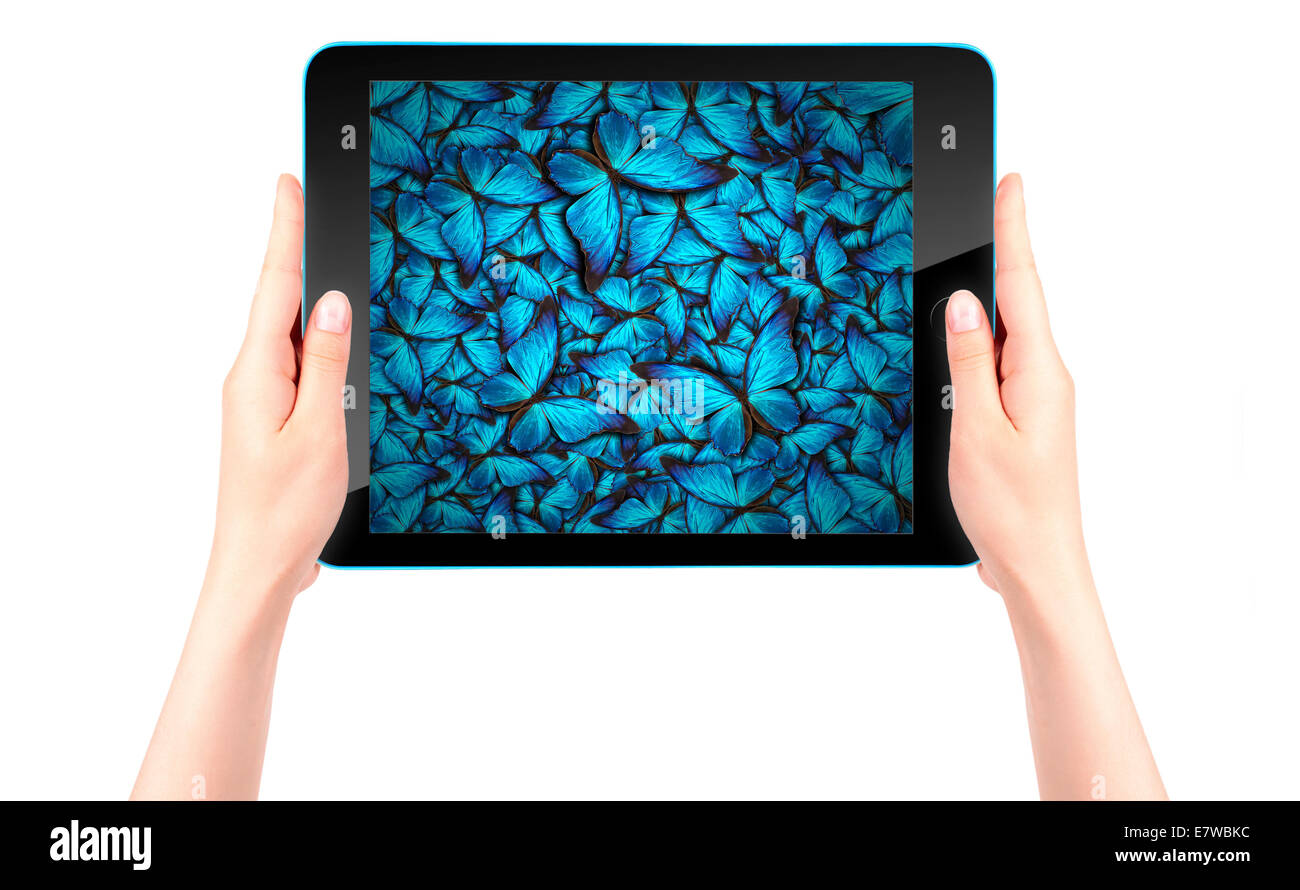 concept design, butterfly flying out from tablet computer Stock Photo ...