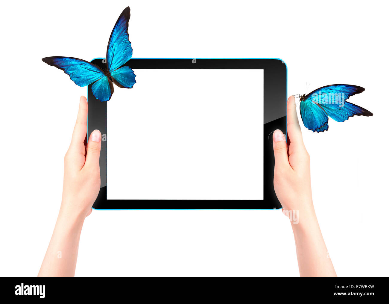 concept design, butterfly flying out from tablet computer Stock Photo ...