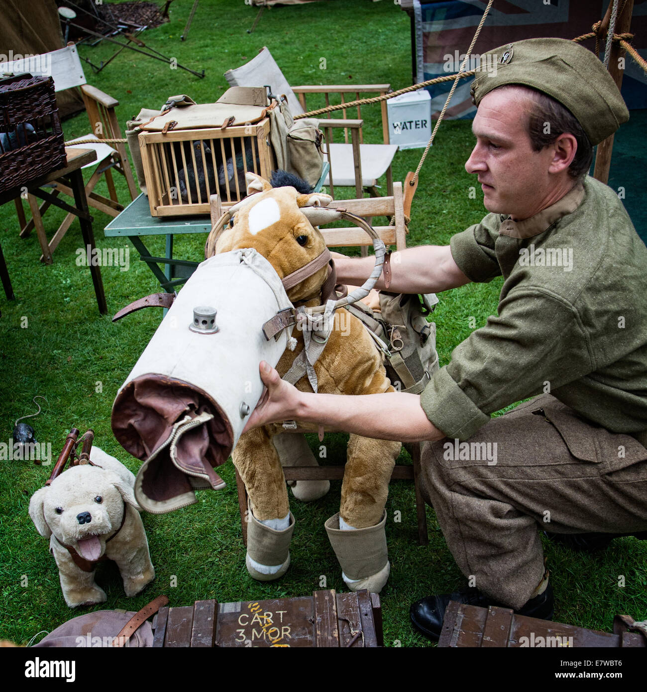Gas mask for war horses hi-res stock photography and images - Alamy