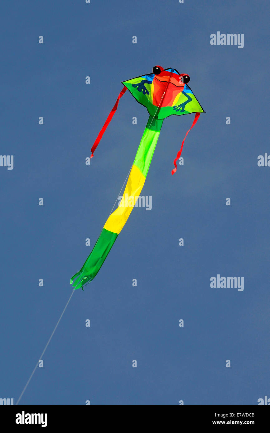 Kite flying overhead against a blue sky Stock Photo - Alamy