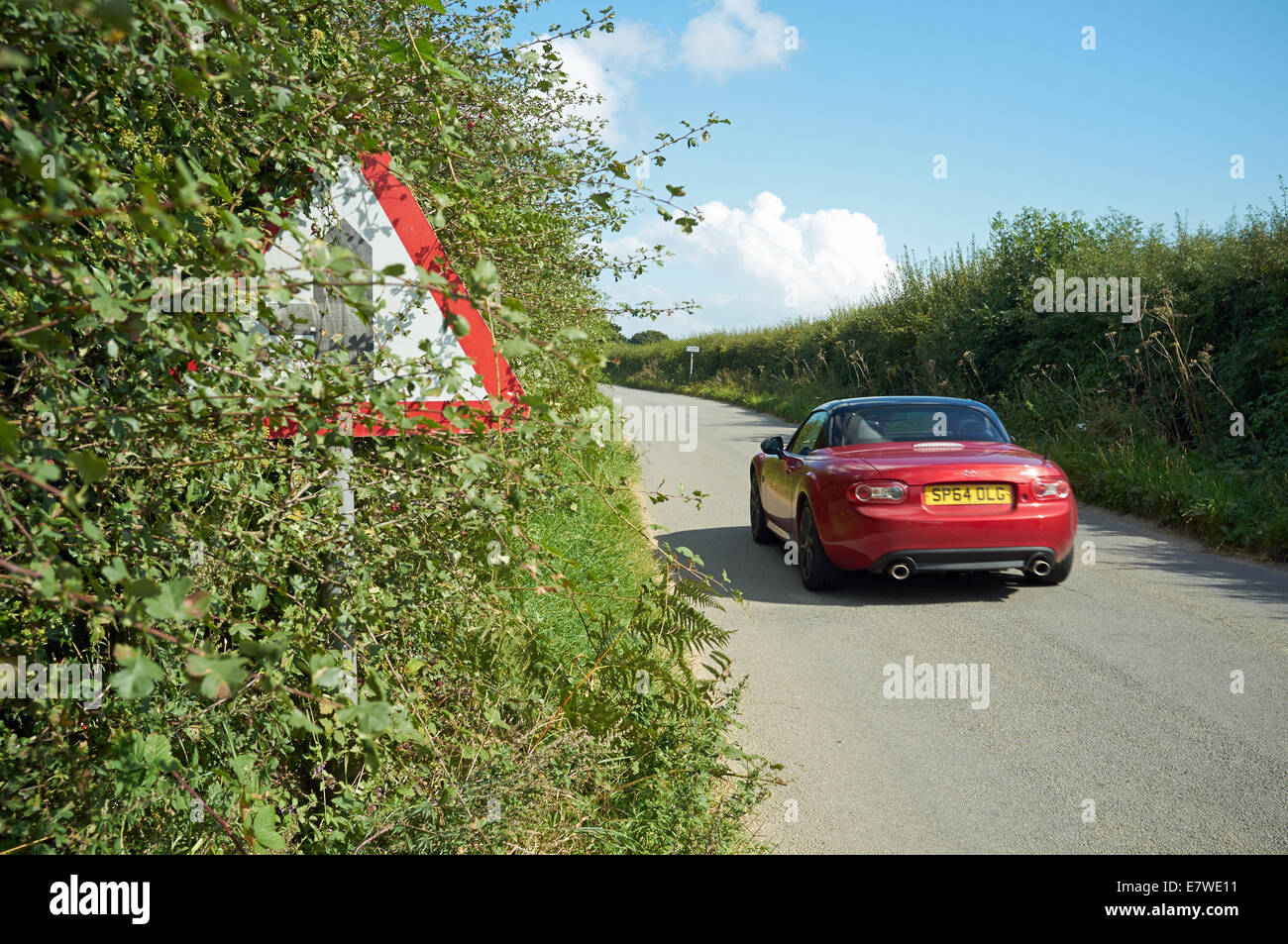 Side road on left road traffic sign partly hidden by a hedge Stock ...