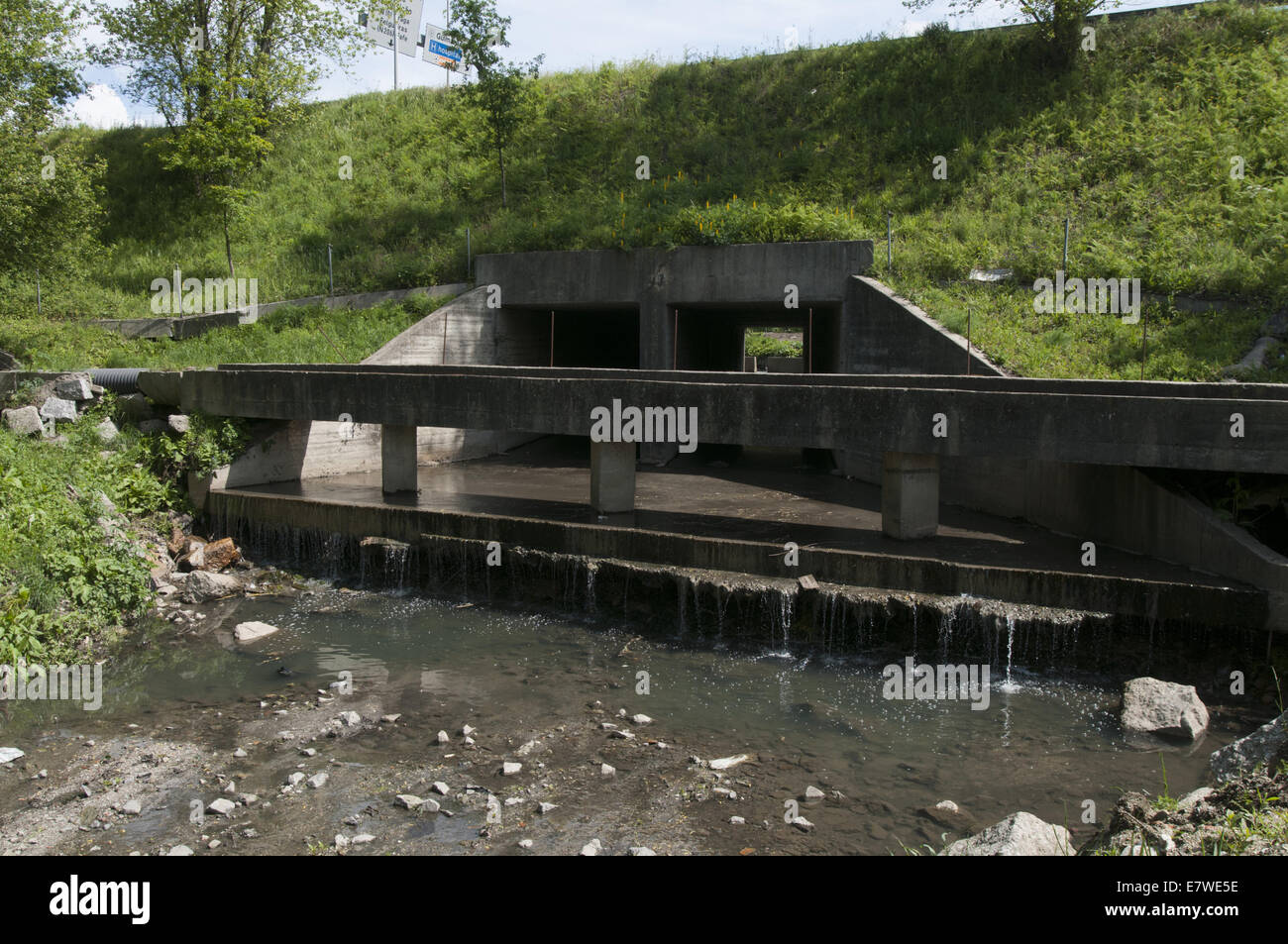 polluted water stream Stock Photo - Alamy
