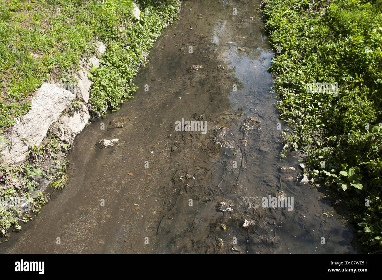 polluted water stream Stock Photo - Alamy