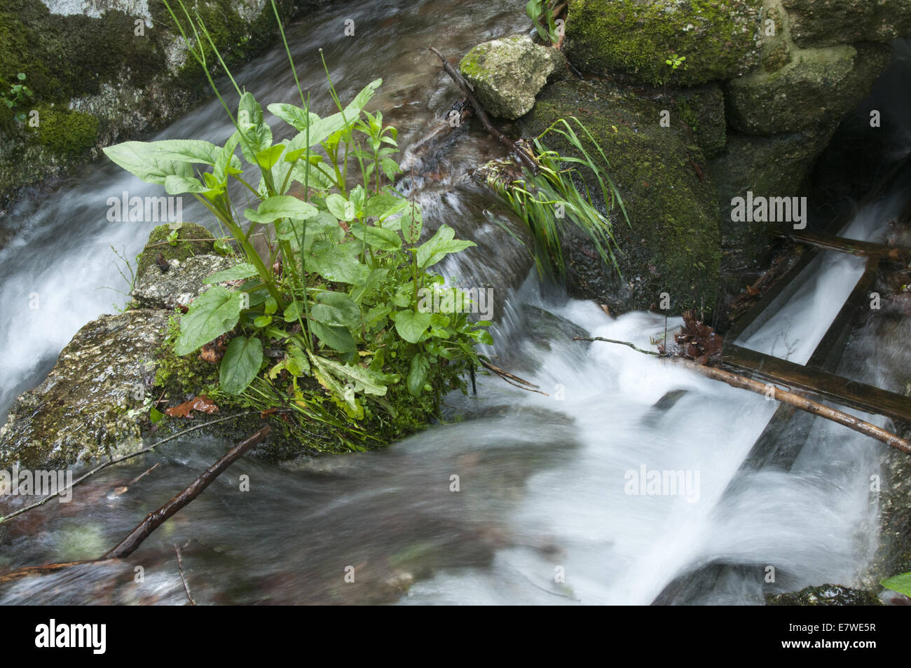water flowing on a fast stream Stock Photo - Alamy