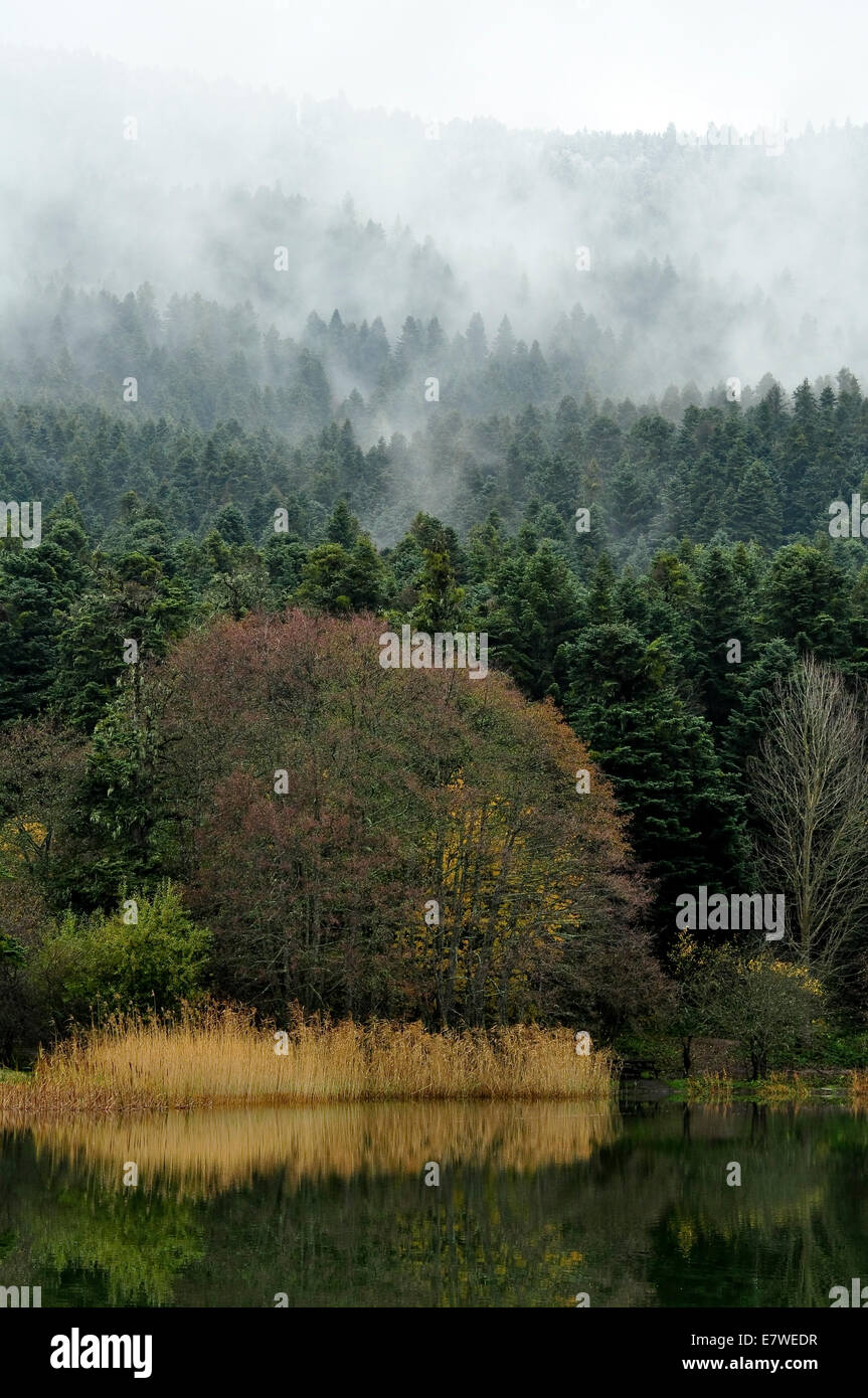 Misty lake view hi-res stock photography and images - Alamy