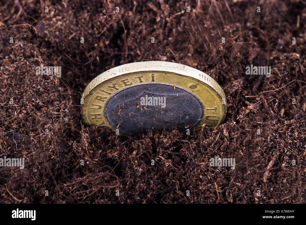 Single coin in soil for growing Stock Photo - Alamy