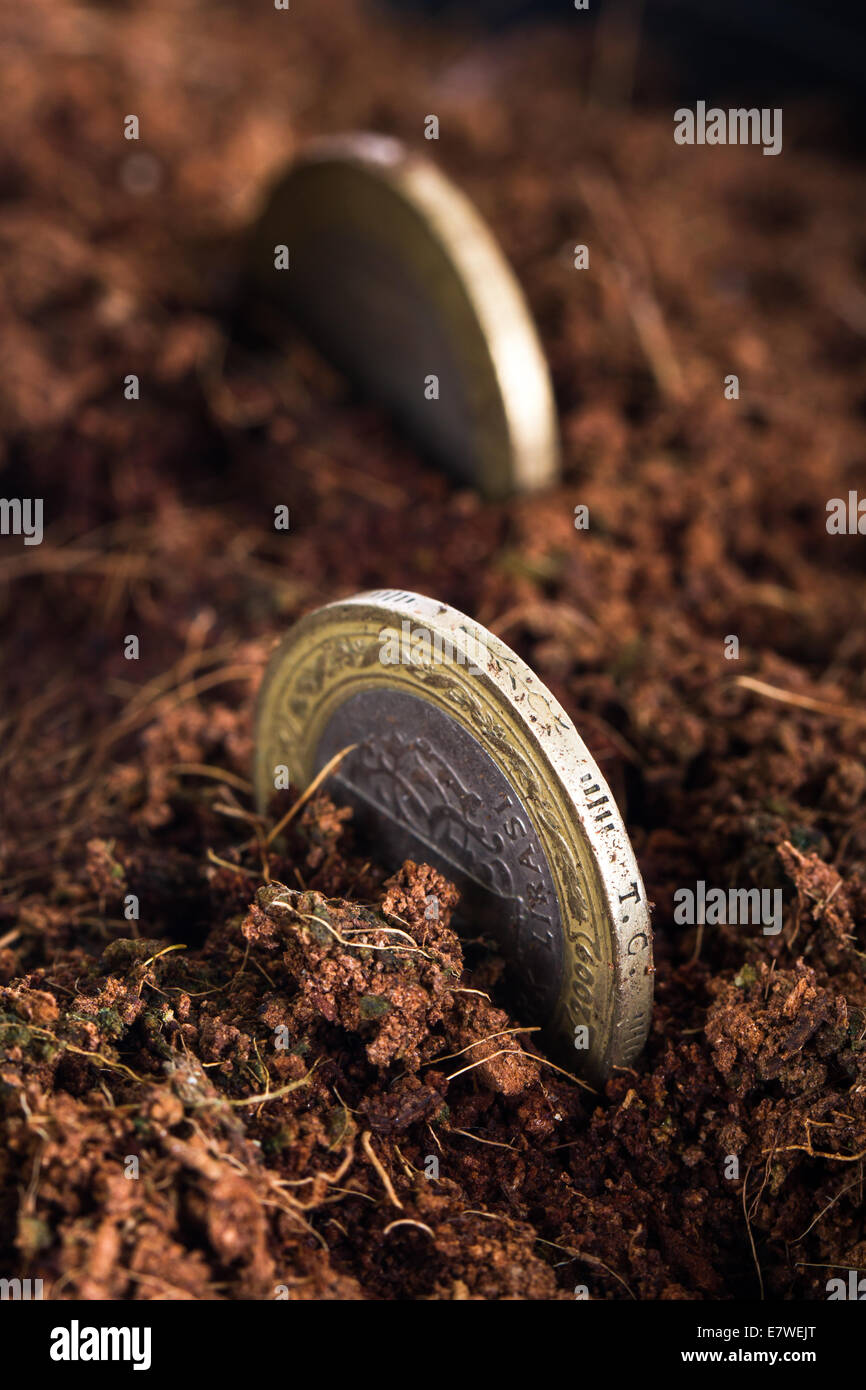 Close up view of coins in dirt soil Stock Photo - Alamy