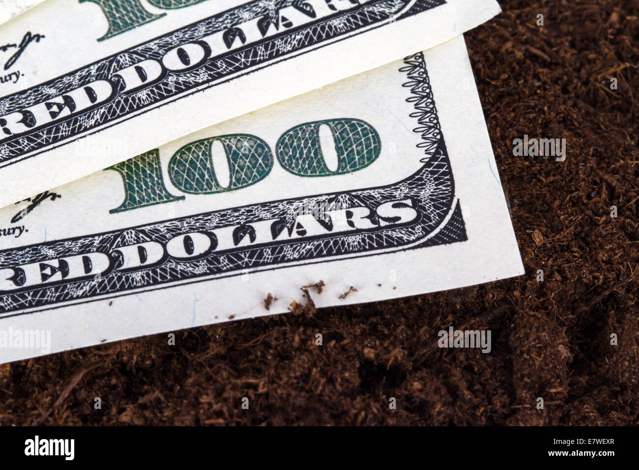One hundred dollar banknotes on soil for growing Stock Photo - Alamy