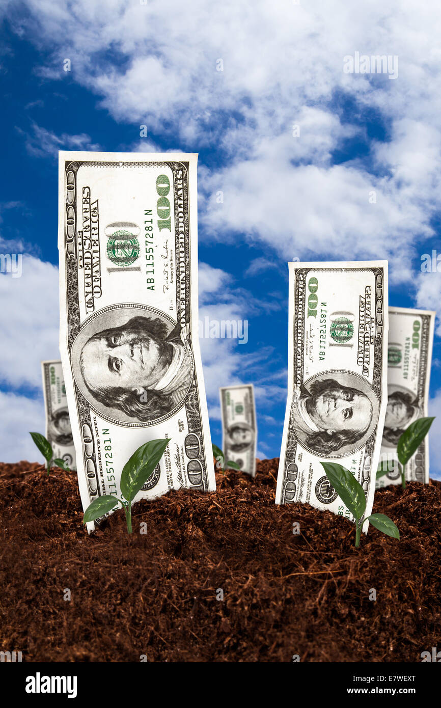 One hundred dollar banknotes on soil for growing with cloudy background ...