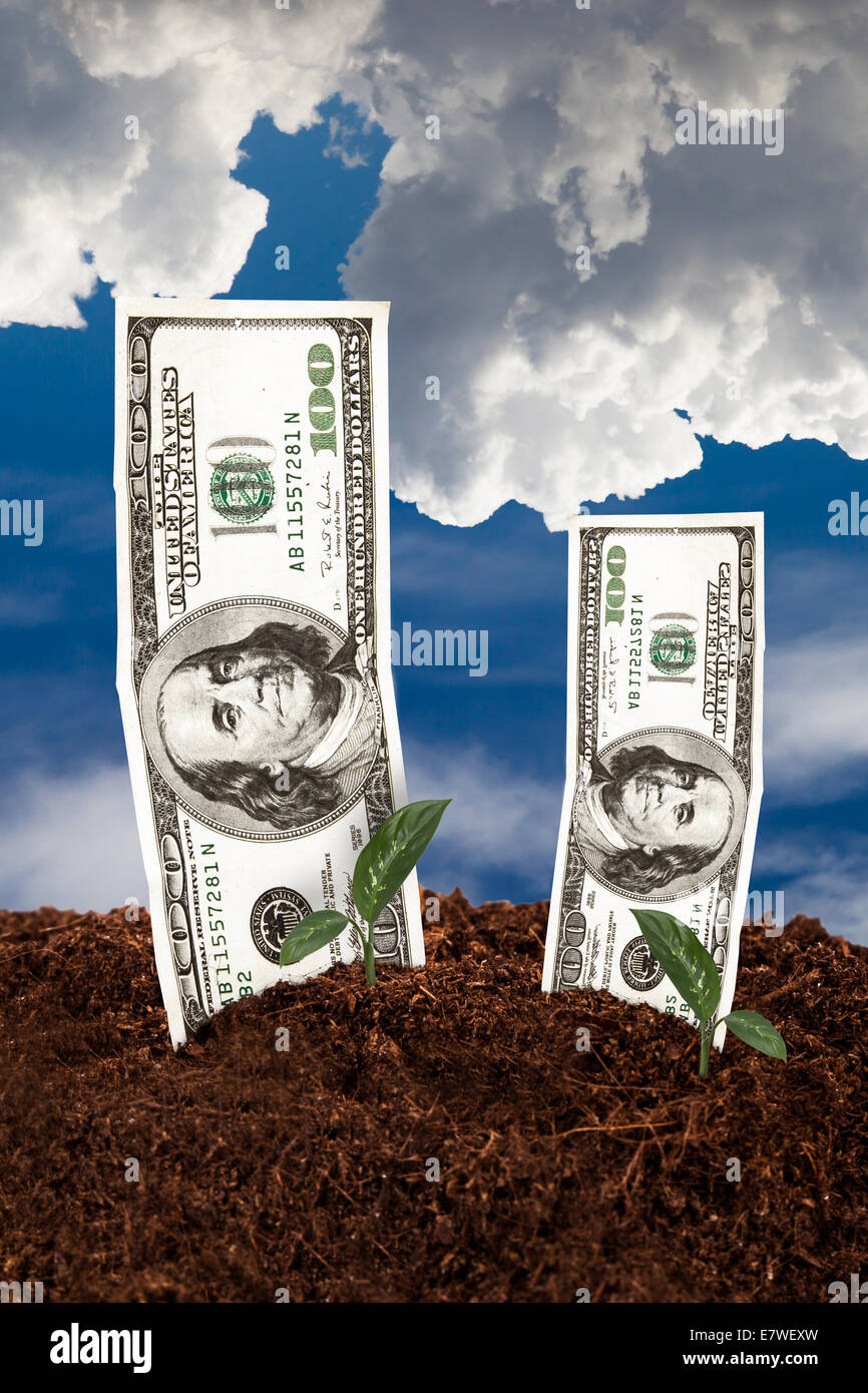 One hundred dollar banknotes on soil for growing with cloudy background ...