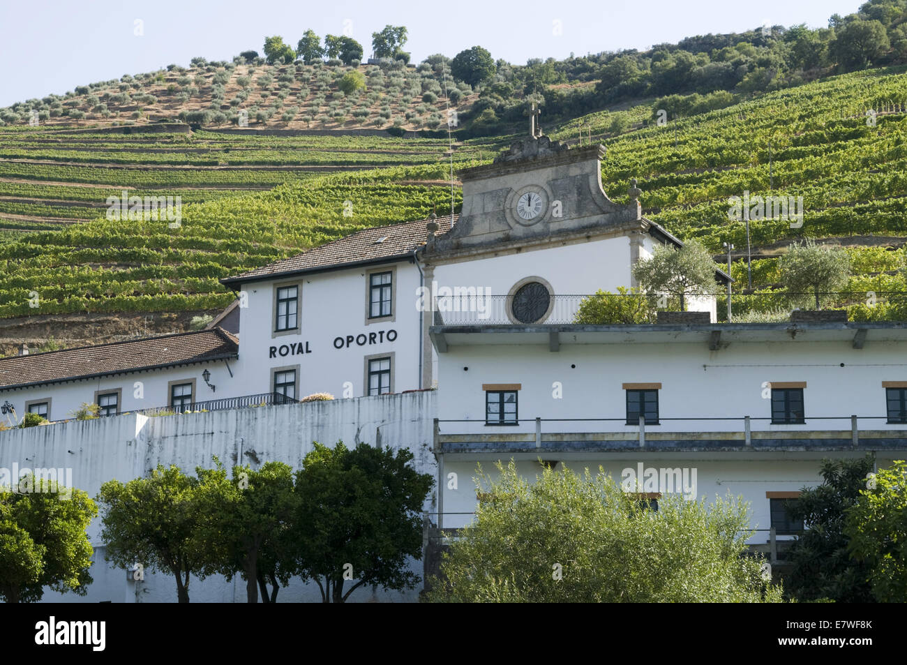 Royal Oporto wine quinta in the Douro Region Stock Photo - Alamy
