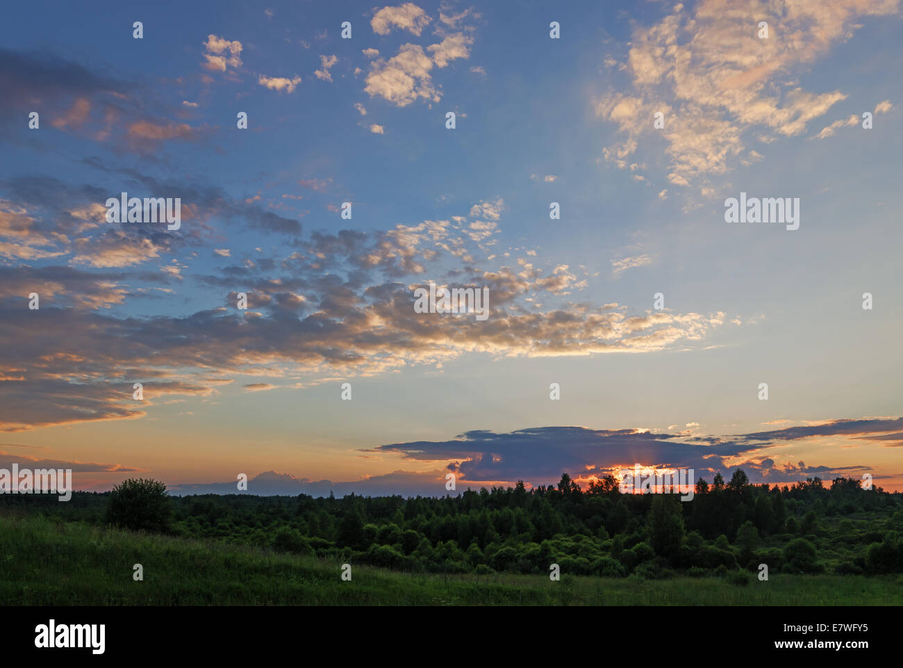 Sunset over field and forest Stock Photo - Alamy