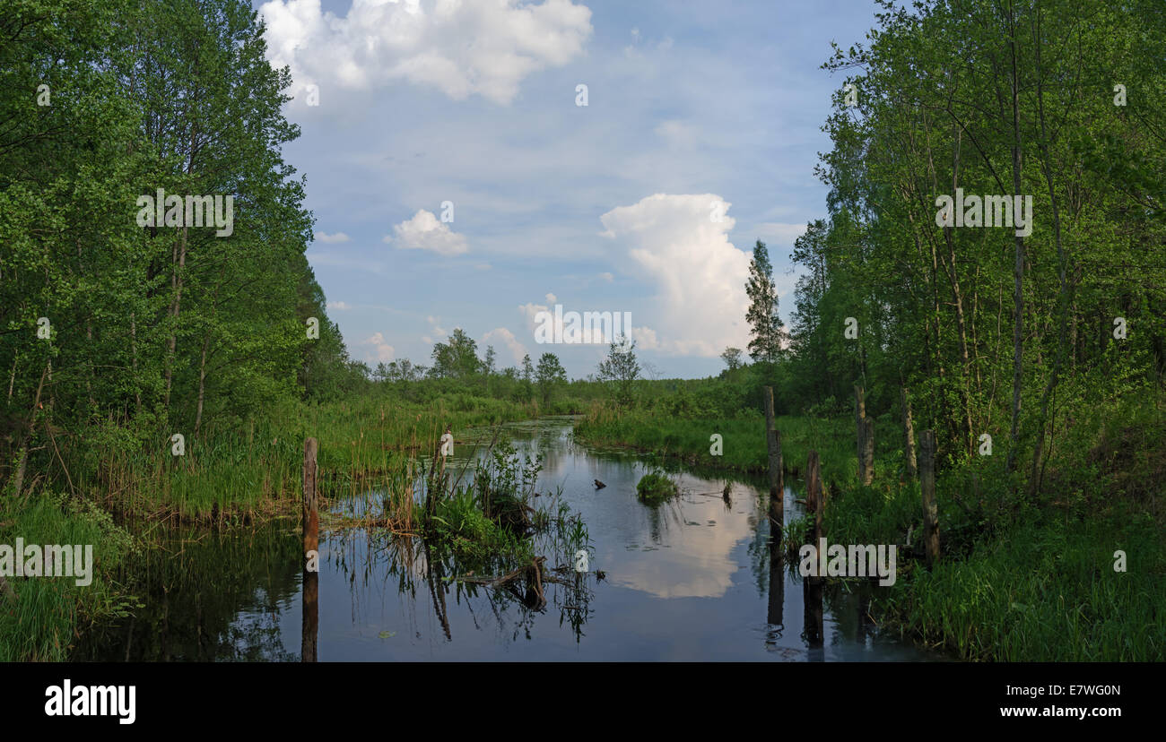 Ancient form of timber bridge hi-res stock photography and images - Alamy