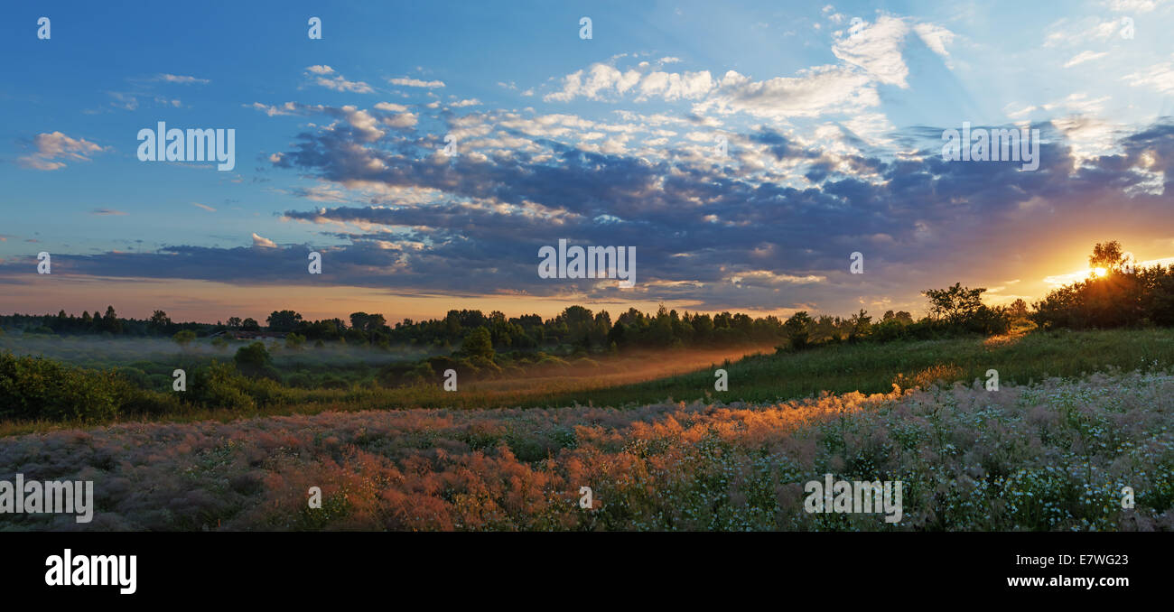 Sunrise over field and forest Stock Photo - Alamy